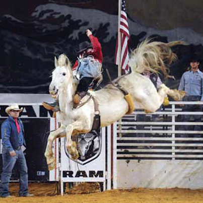 Barnes PRCA Rodeo Company