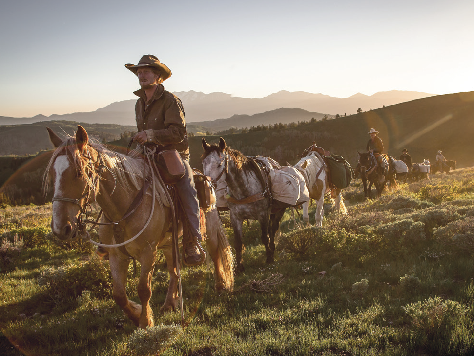 The Storyteller - American Cowboy