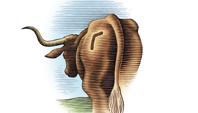 John Blocker's Road Brand - American Cowboy